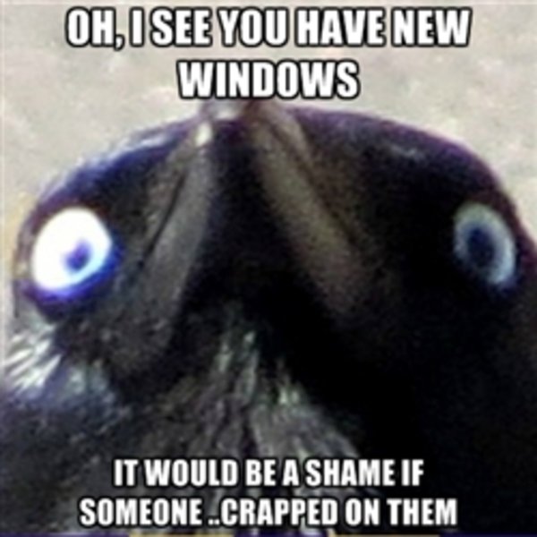It Would Be A Shame If Something Happened To It Know Your Meme