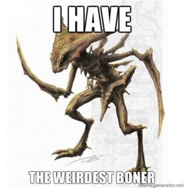 Image 116256 I Have The Weirdest Boner Know Your Meme