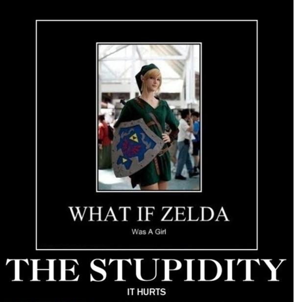 Image 282209 Link And Zelda Confusion What If Zelda Was A Girl Know Your Meme
