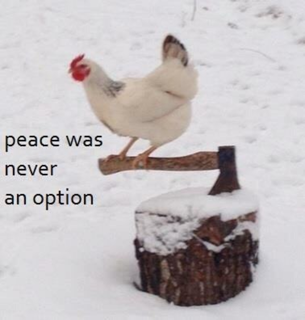 Peace Was Never An Option Peace Was Never An Option Know Your Meme