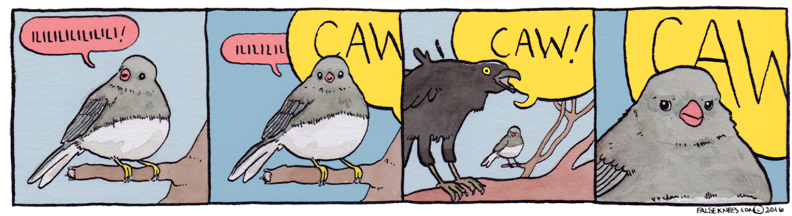 Juncrow Annoyed Bird Know Your Meme