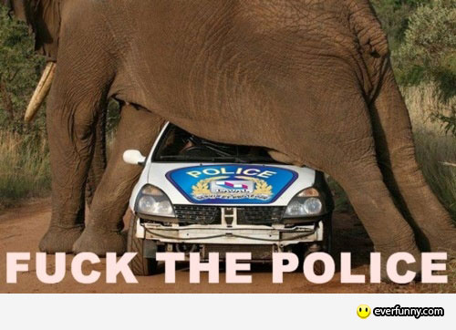 Fuck The Police By Magnetus Hentai Foundry
