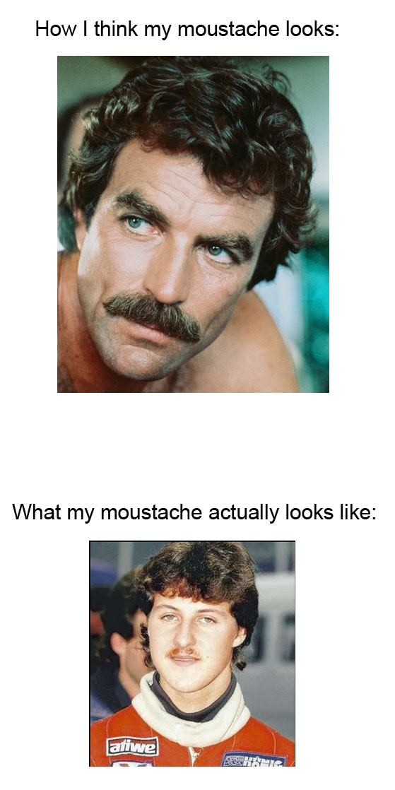 [image 272425] What You Think You Look Like Vs What You Actually
