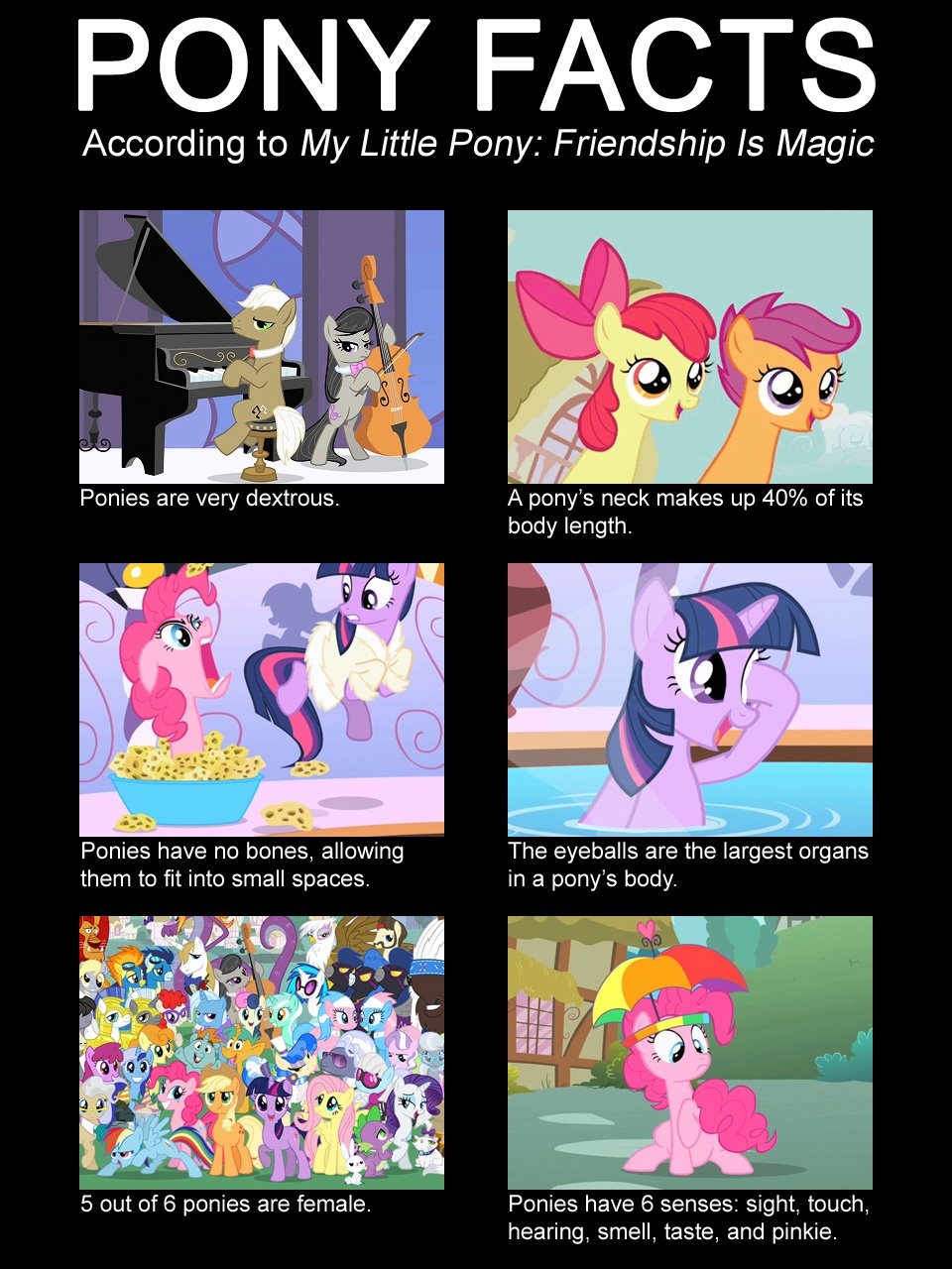 Funny Mlp Memes
