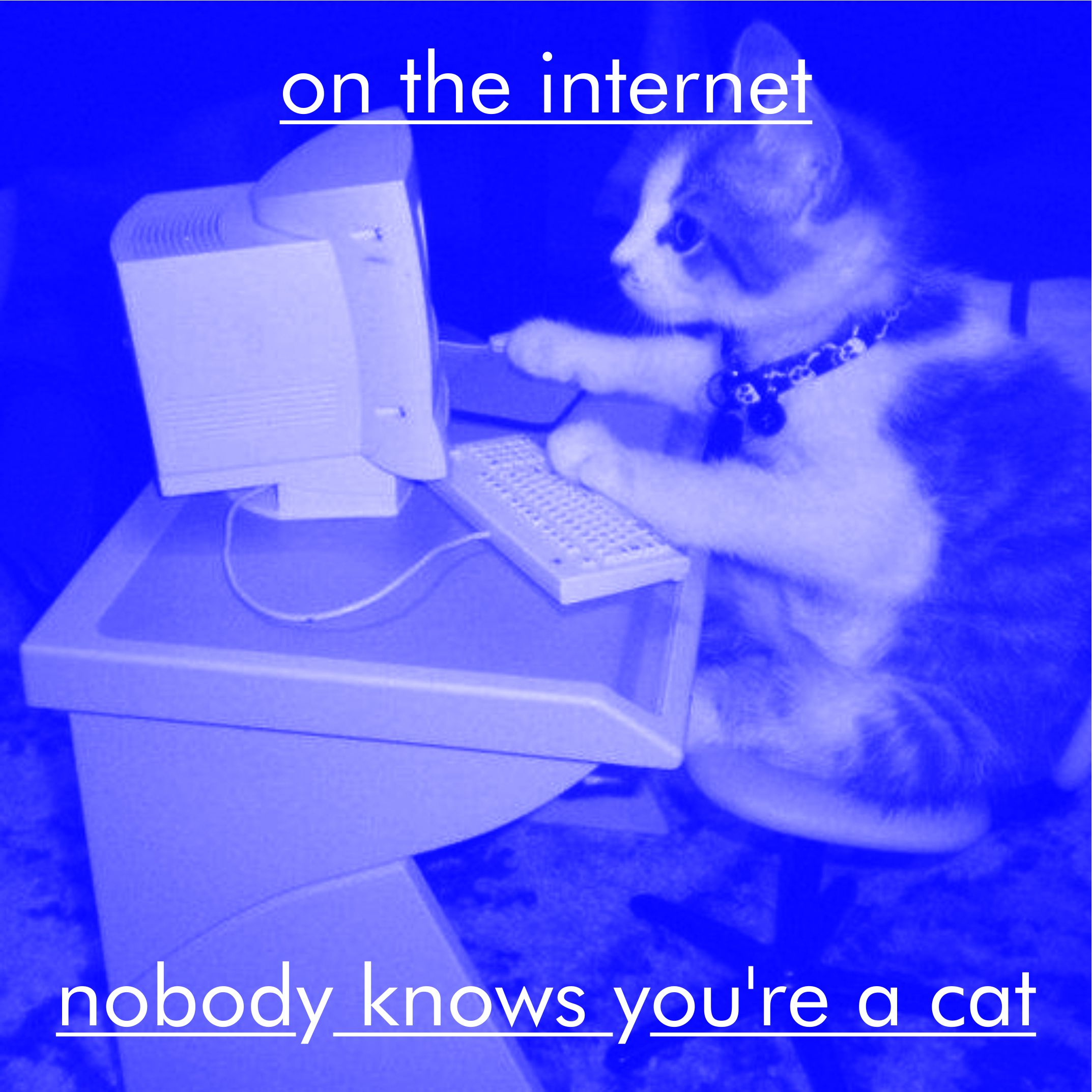 See Nobody Cares Meme Template