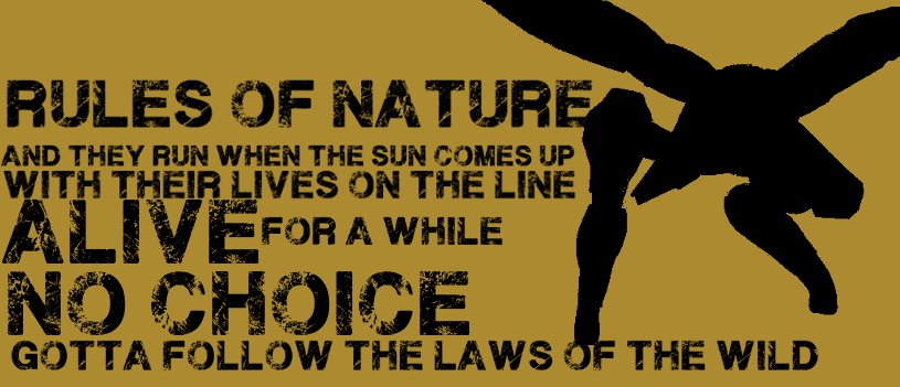 Image 686258 Rules Of Nature Goes With Everything Know Your Meme image-686258-rules-of-nature-goes-with-everything-know-your-meme