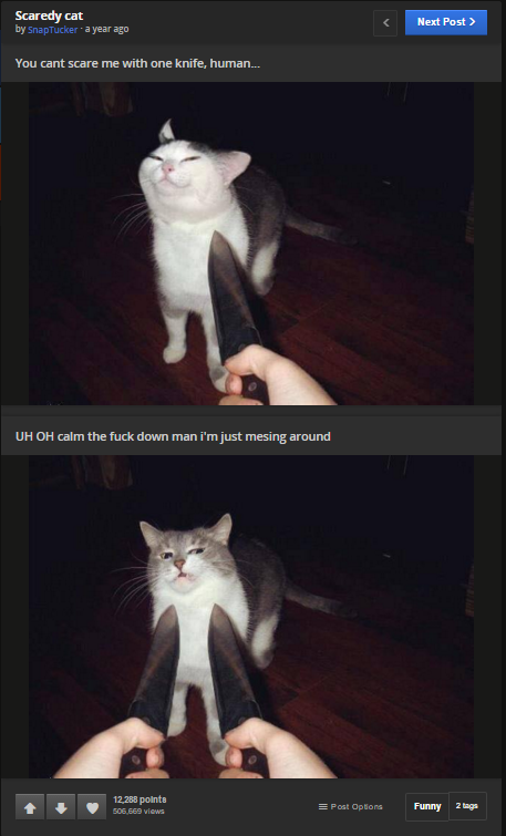 Uh Oh Calm The Fuck Down Man Im Just Mesing Around Smug Knife Cat Know Your Meme