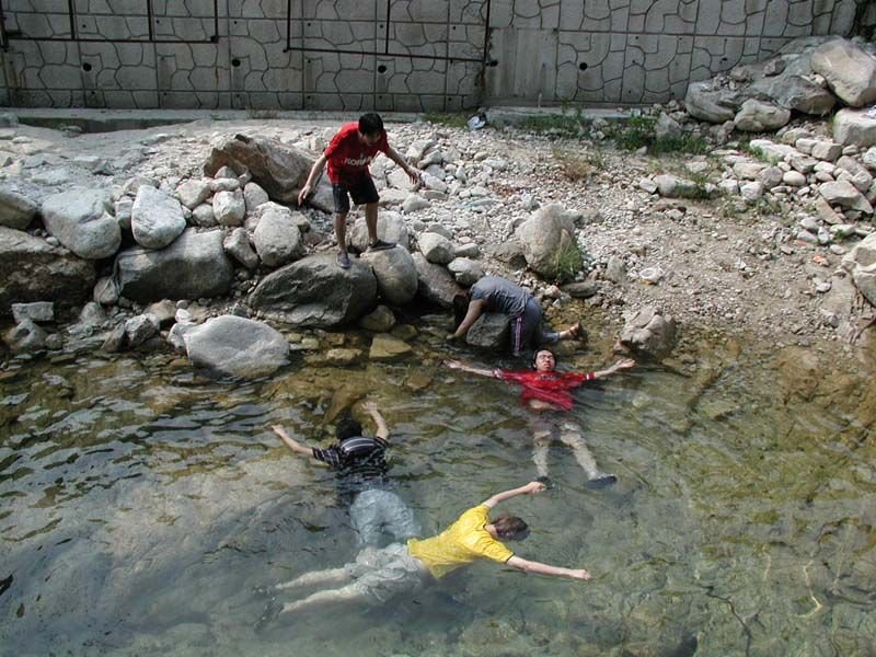 Playing Dead | Know Your Meme