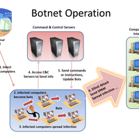 Internet Slang | Know Your Meme