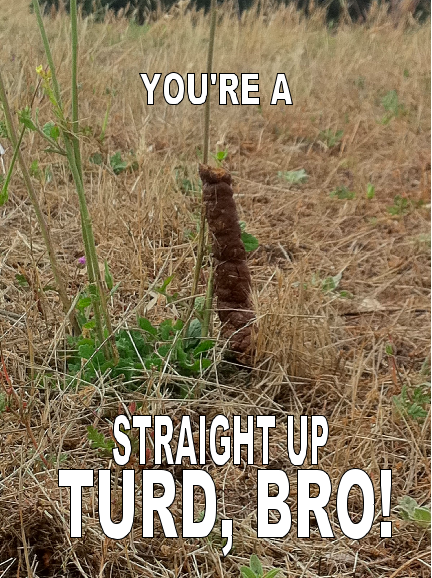 You're a straight up turd, bro! | Know Your Meme