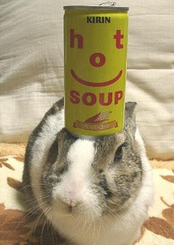 [Image - 10293] | Pancake Bunny | Know Your Meme