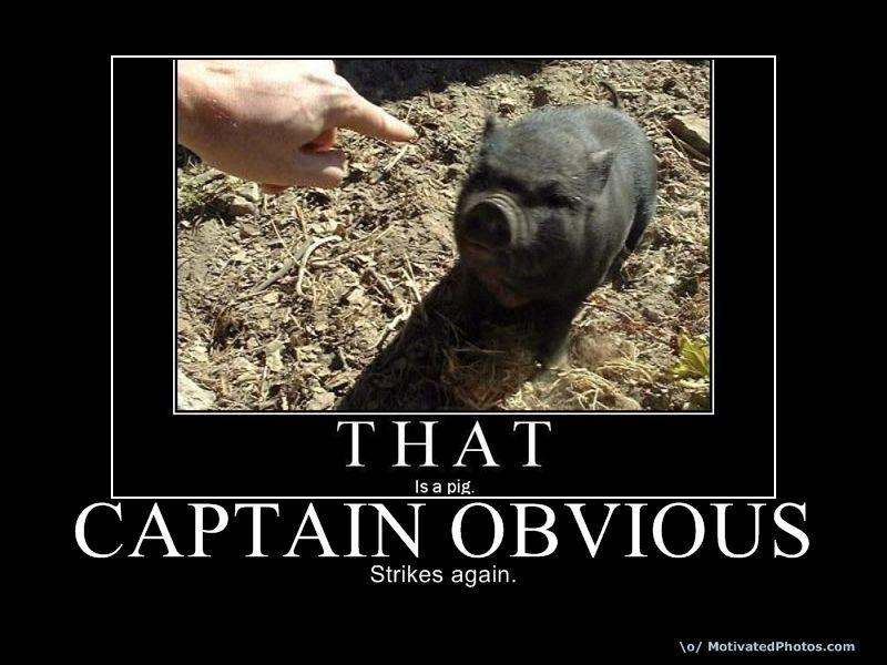 [Image - 67034] | Captain Obvious | Know Your Meme