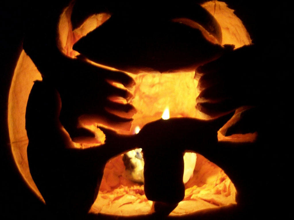 [Image - 187373] | Goatse | Know Your Meme