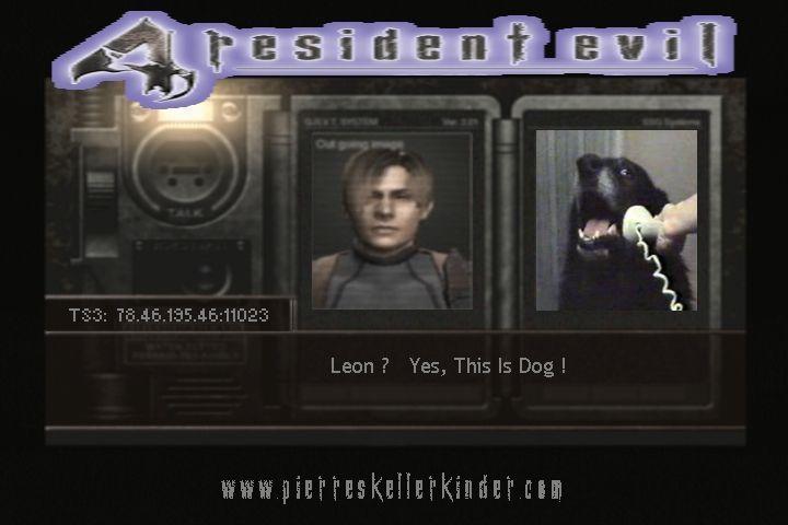 Yes This Is Dog Image Gallery Know Your Meme