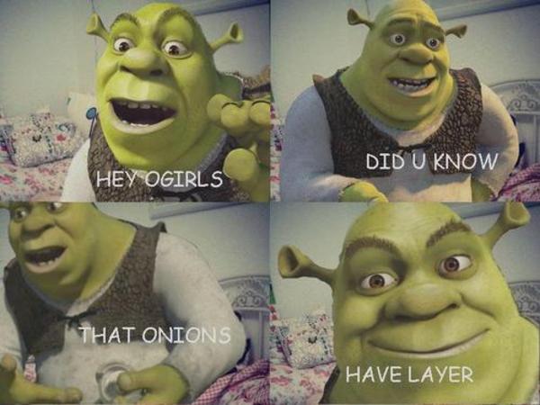 [Image - 488295] | Shrek | Know Your Meme