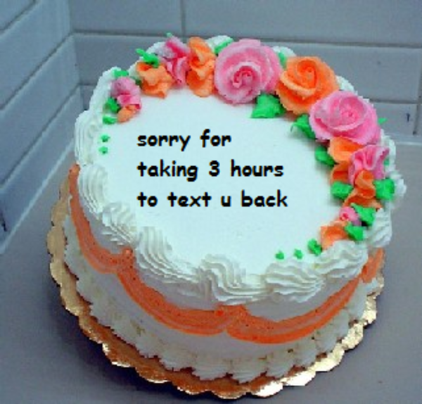 [Image - 508499] | Apology Cakes | Know Your Meme