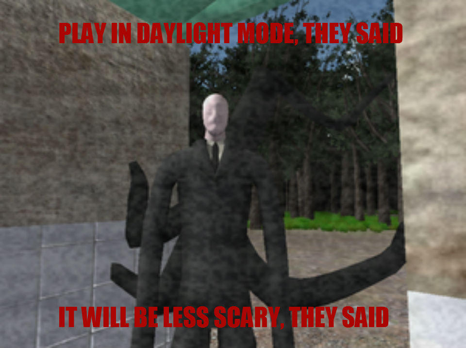 It will be fun, they said | It Will Be Fun, They Said | Know Your Meme