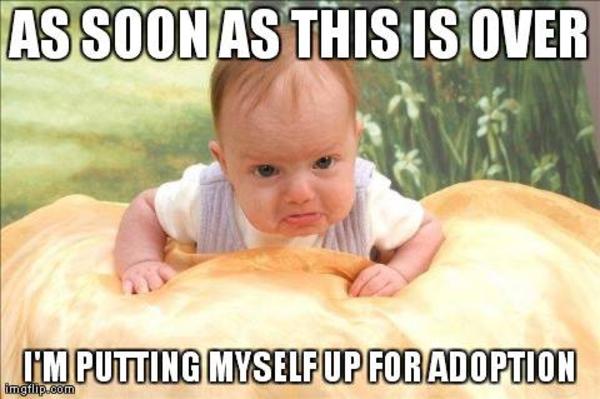 Grumpy Baby Memes