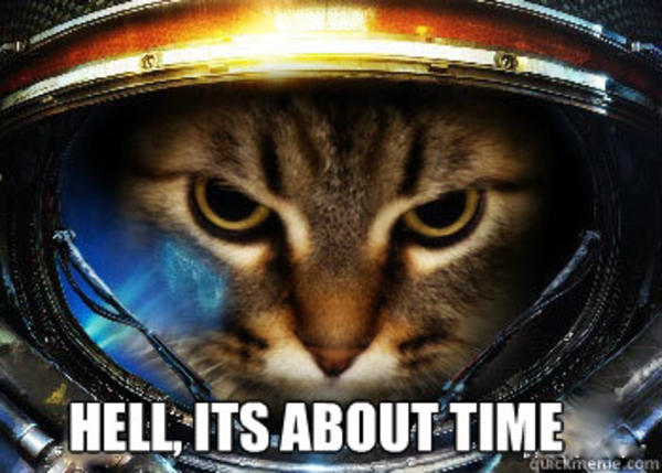 Cat | Hell, It's About Time | Know Your Meme