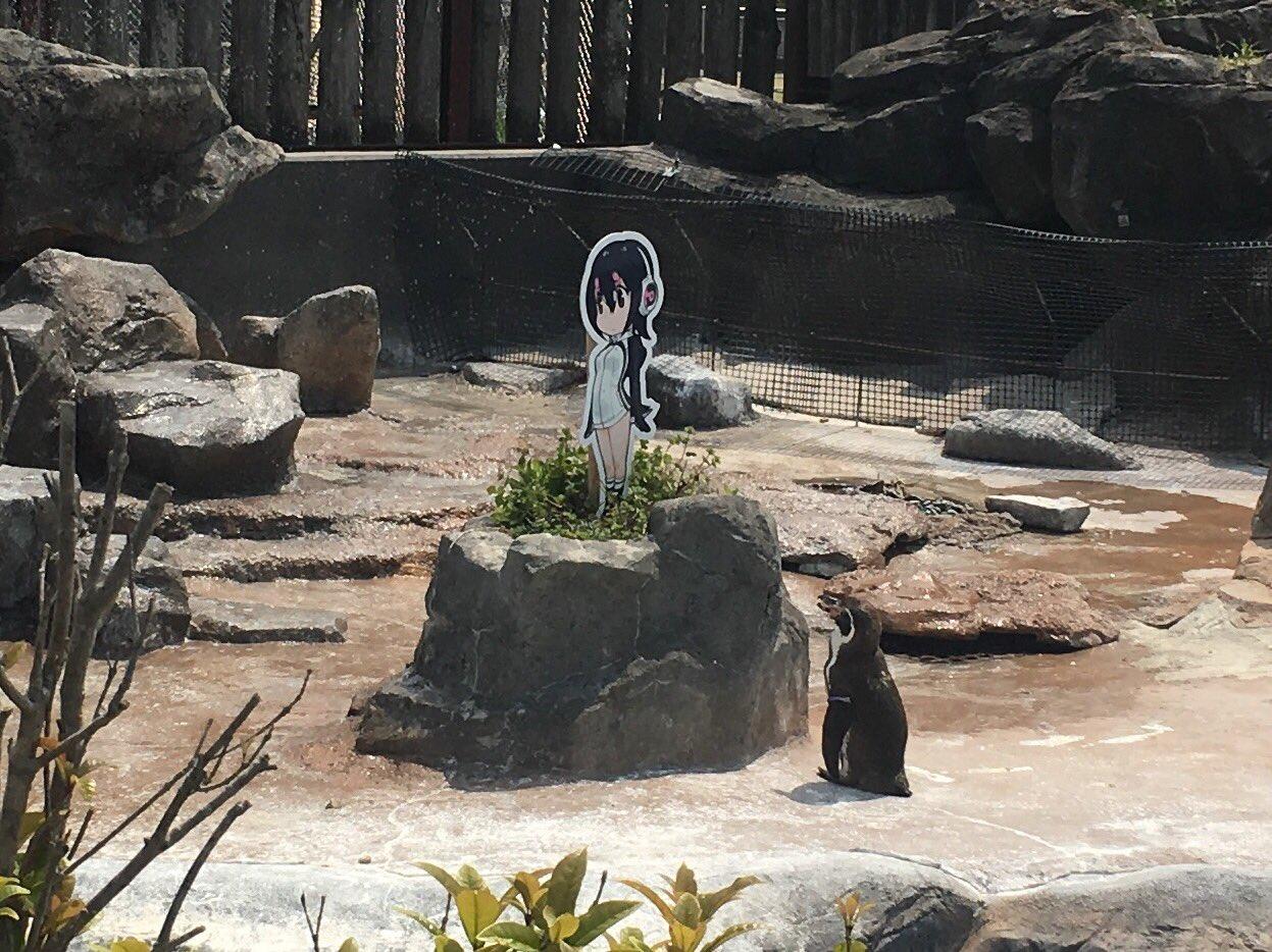 Grape-kun (Kemono Friends penguin fan) has died | Page 4 | NeoGAF