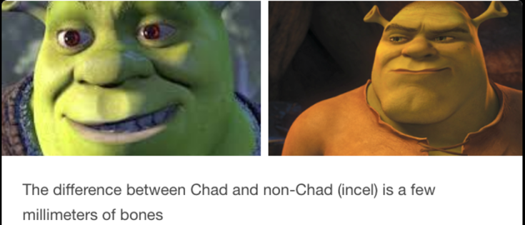 Shrek chad and Shrek non-chad | Millimeters of Bone | Know Your Meme