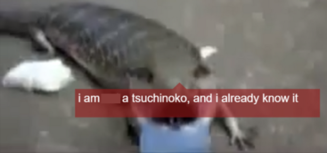 Real Tsuchinoko | Tsuchinoko Real | Know Your Meme