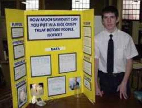 How Much Sawdust Can You Put In Rice Crispy Treats Before People Notice ...