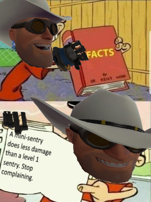 Mini Sentry | Team Fortress 2 | Know Your Meme