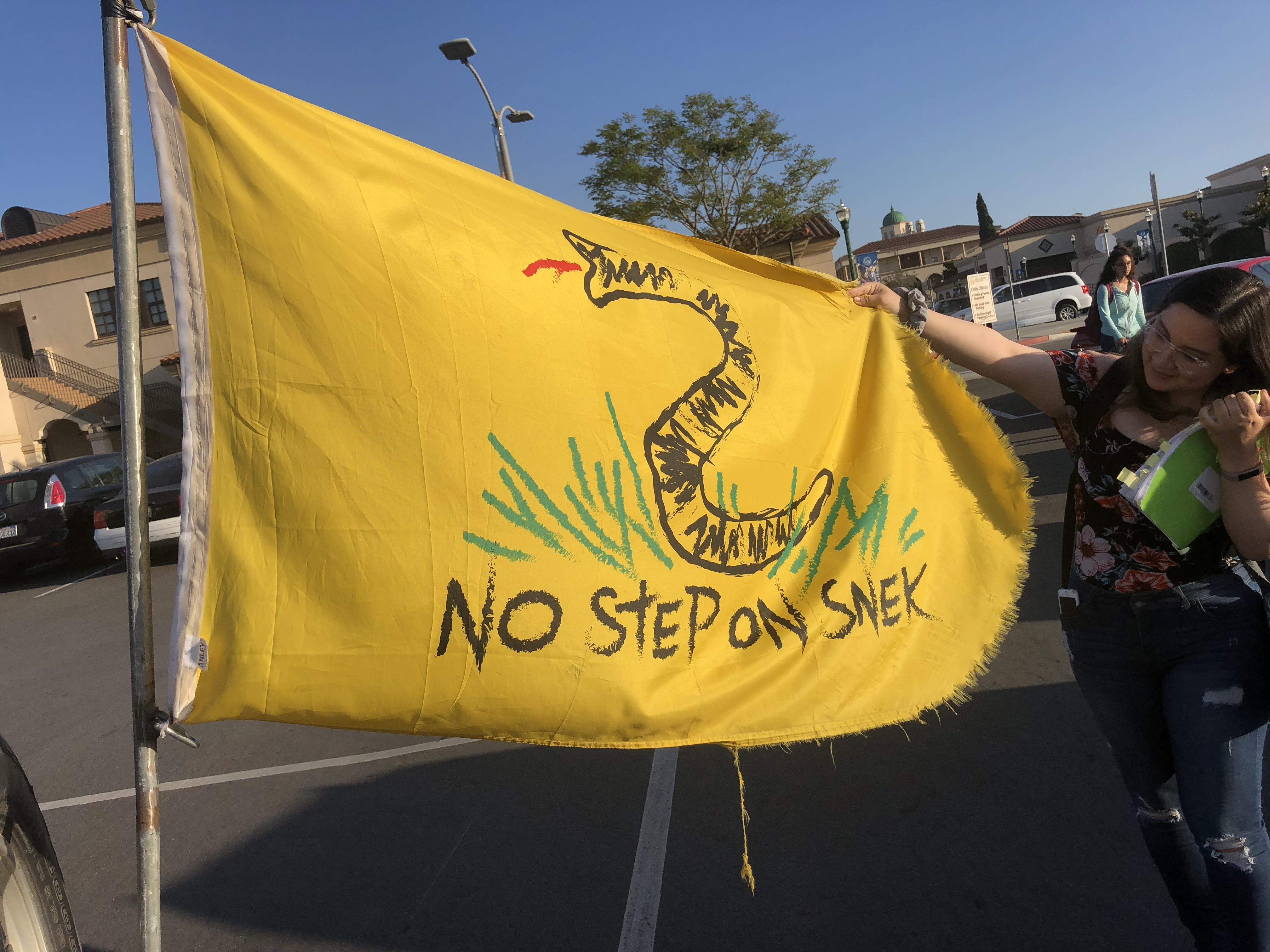 flag | Gadsden Flag / Don't Tread On Me | Know Your Meme