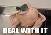Fish Chicken Smoking a Cigarette | Know Your Meme
