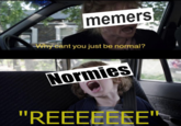 Why Can't You Just Be Normal | Know Your Meme