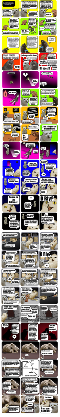 [Image - 444661] | Meme Overload | Know Your Meme