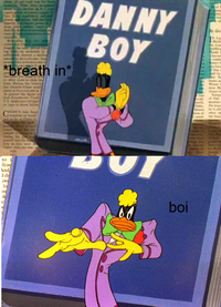 *breath in* Fiducia Compelus | *breath in* Boi | Know Your Meme