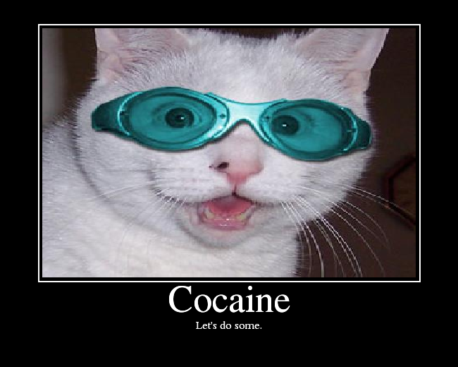 [Image - 60127] | I do Cocaine | Know Your Meme