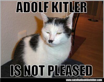 [Image - 64316] | Kitler | Know Your Meme