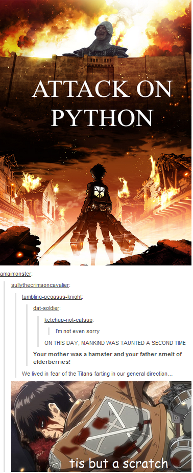 Monty Python Camelot Memes