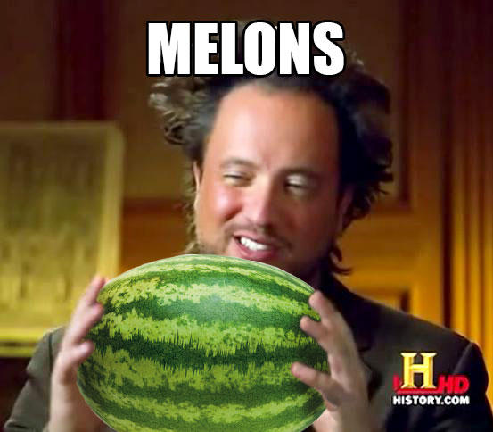 Memes De Melones