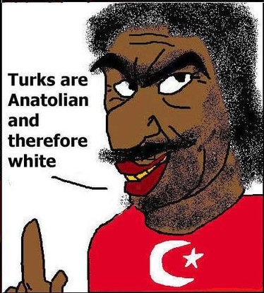 Are Turks white/caucasian? : r/Turkey