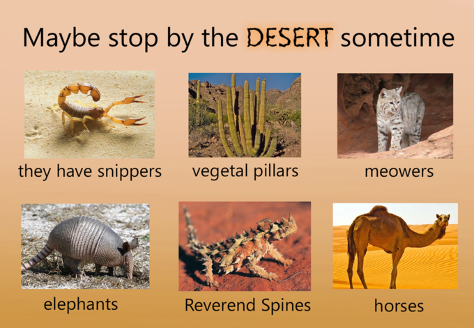 Memes Desert