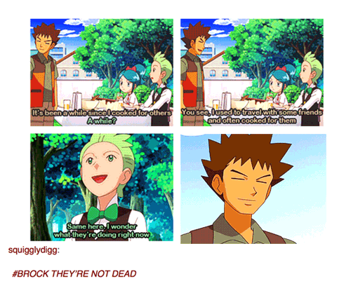 Pokemon Brock Meme