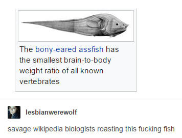 Bony-Eared Assfish, a rare find, pic from Royal BC Museum : r ...