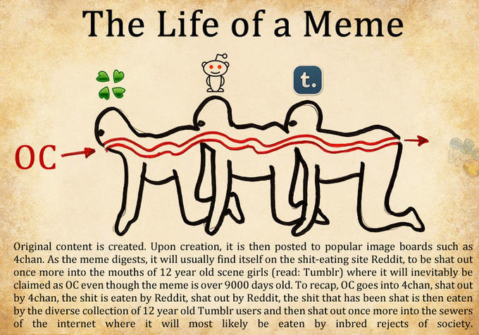Memes Life Cycle