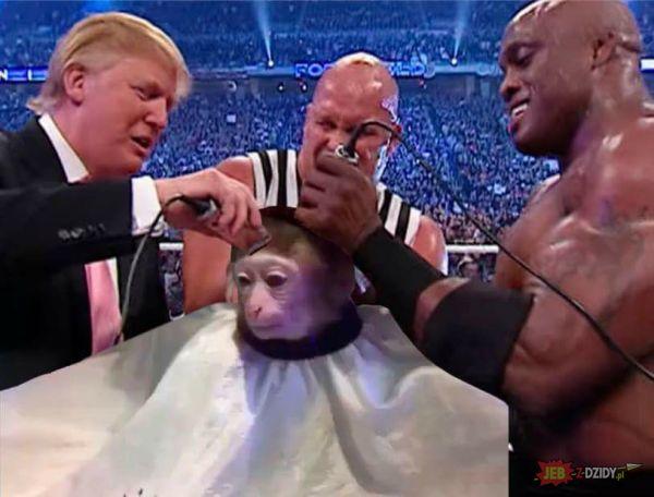 Monkey Haircut | Know Your Meme