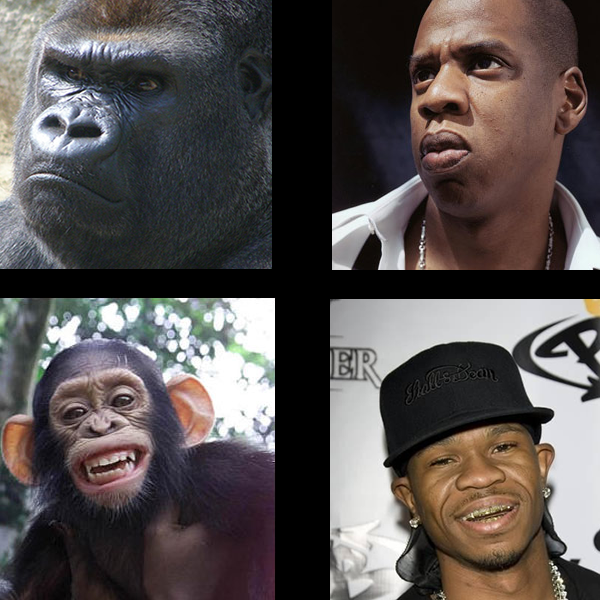 Black People Who Look Like Monkeys