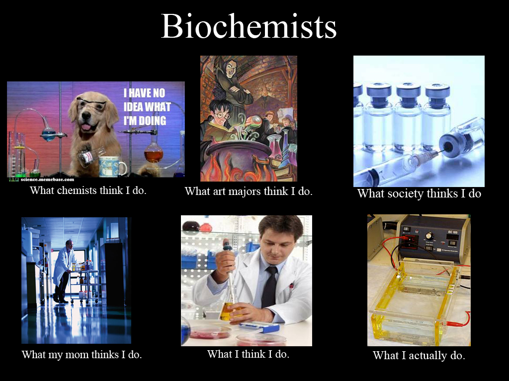 Biochemistry Meme