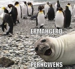 Original Ermahgerd Memes