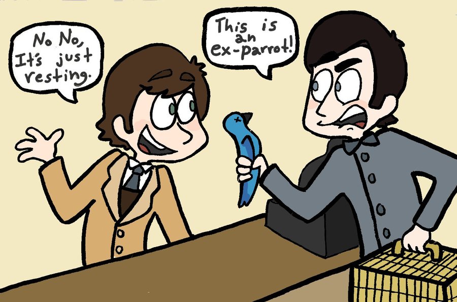 Monty Python Parrot Quotes