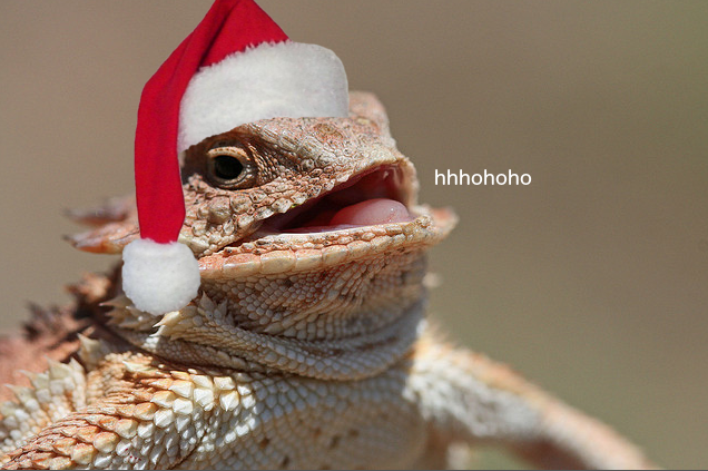 hhhehehe : r/MonsterHunter