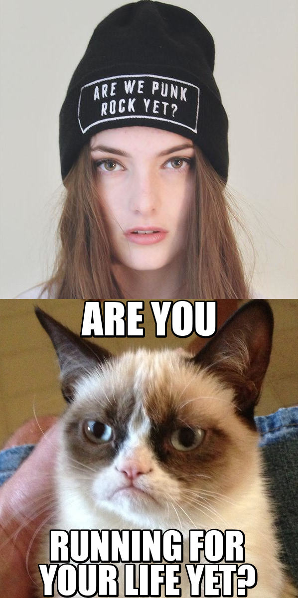 Religious Cat Memes