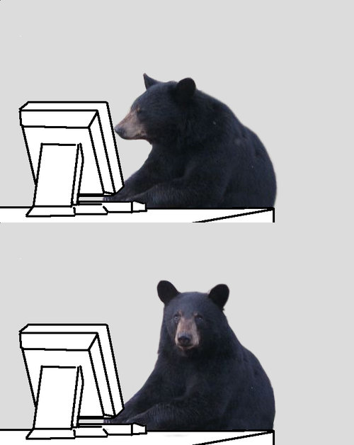 Patient Bear Memes